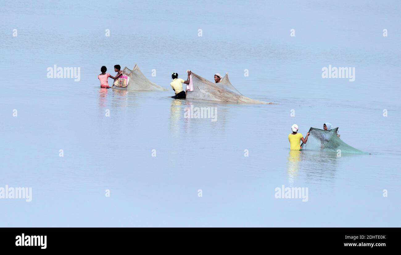 Assam prawns hi-res stock photography and images - Alamy