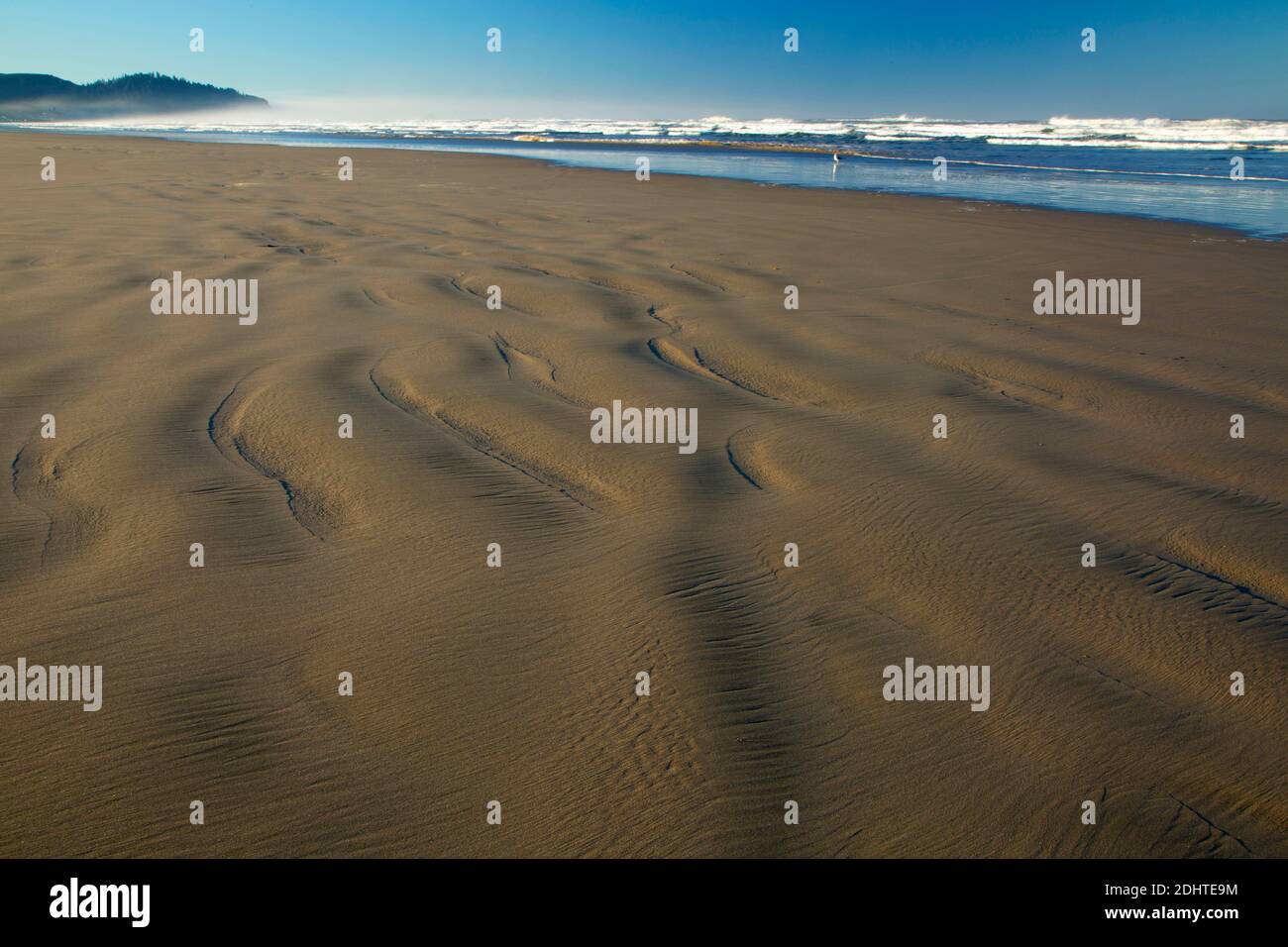 Spit beach, Bayocean Peninsula, Tillamook County, Oregon Stock Photo ...