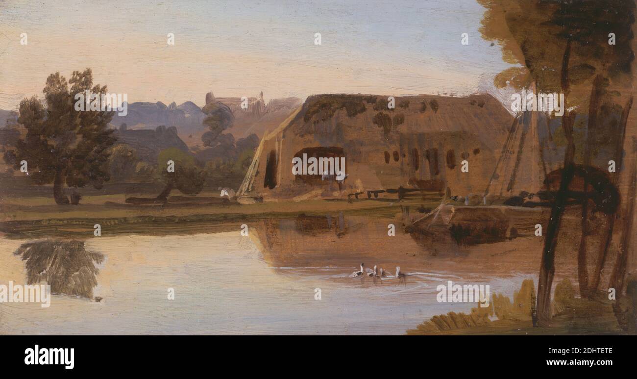 British birds illustrations hi-res stock photography and images - Alamy