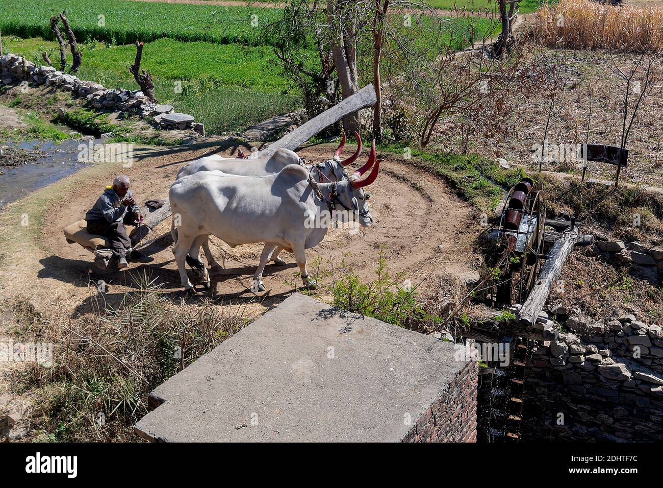 Persian water wheel rajasthan india hi-res stock photography and images ...