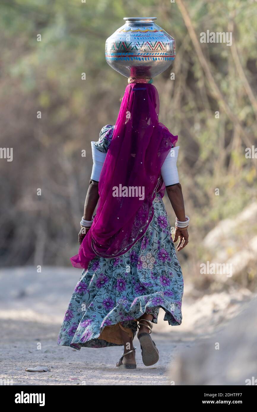 Woman carrying on their heads in Rajasthan, India Stock Photo - Alamy