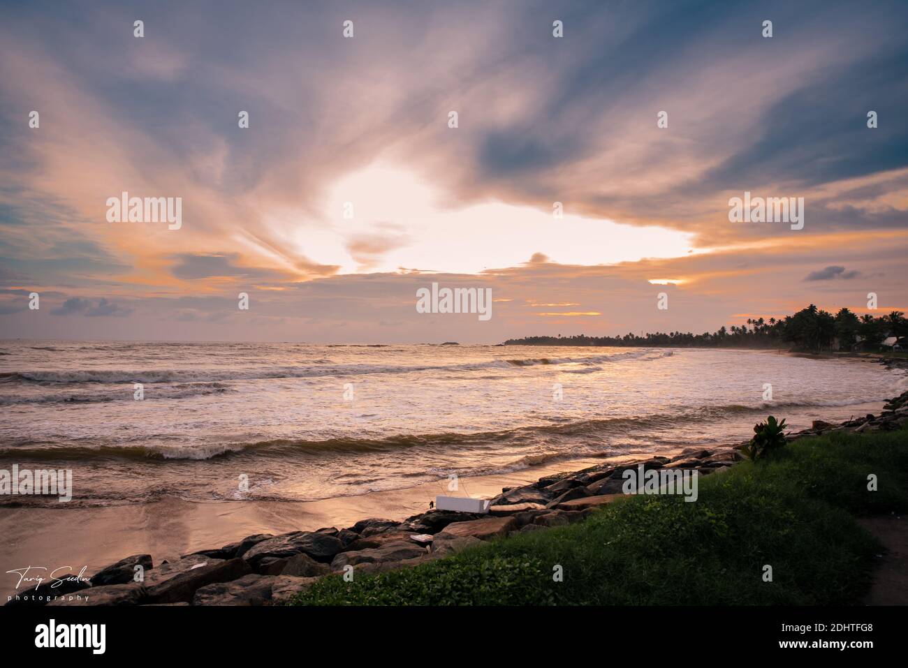 Gree trees hi-res stock photography and images - Alamy