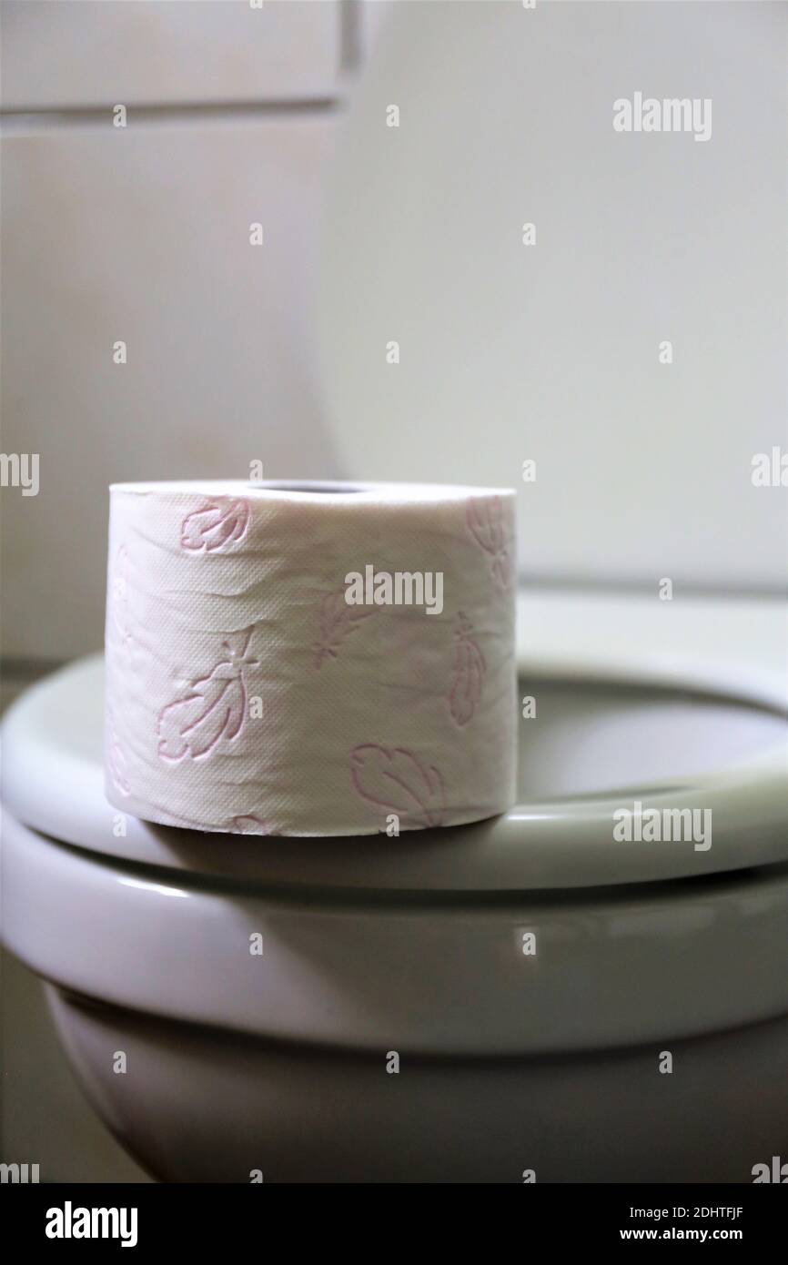 An concept Image of a bathroom with toilet paper Stock Photo - Alamy