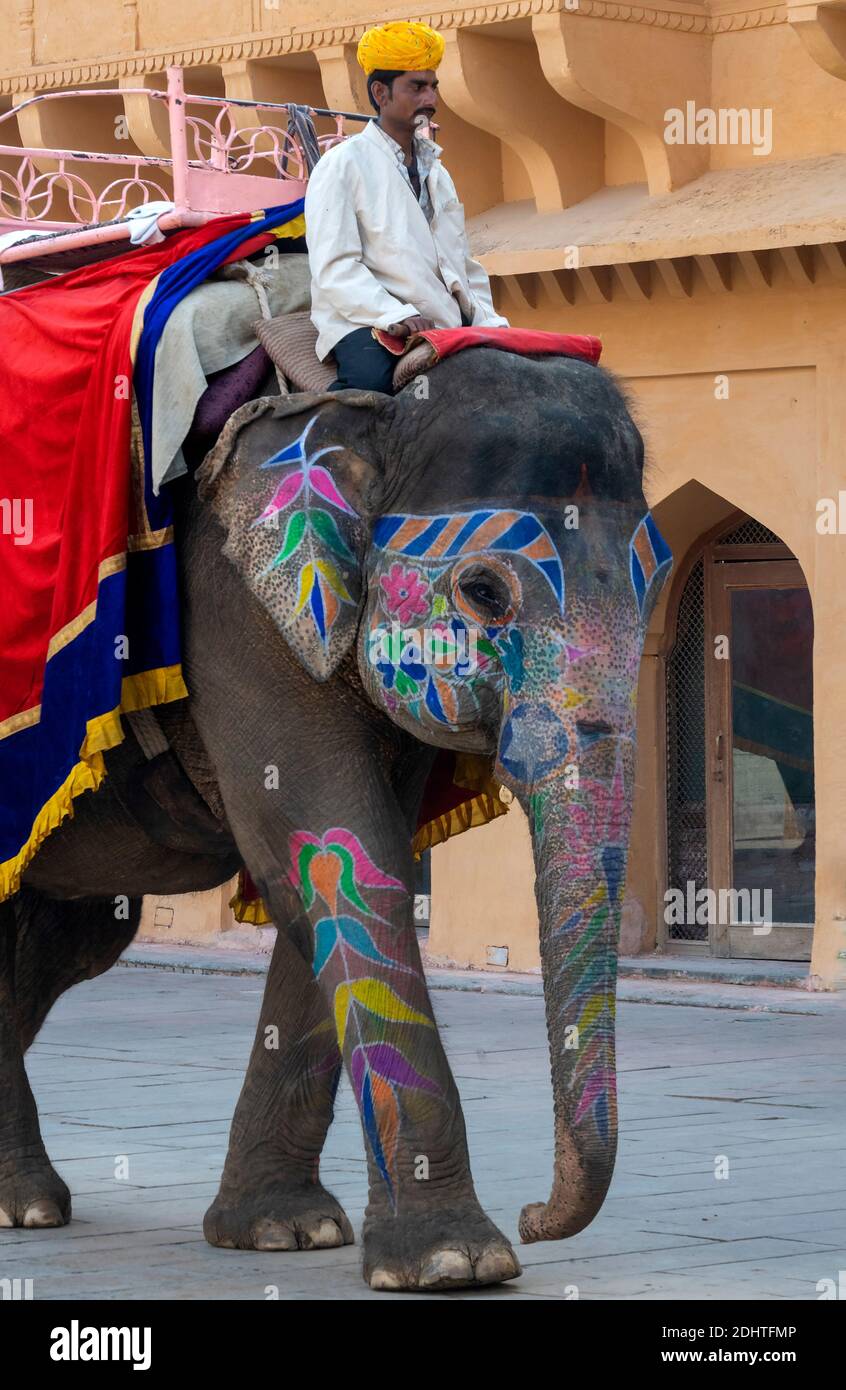 Decorated Indian elephant inside Amer Fort, Jaipur, Rajasthan, India ...