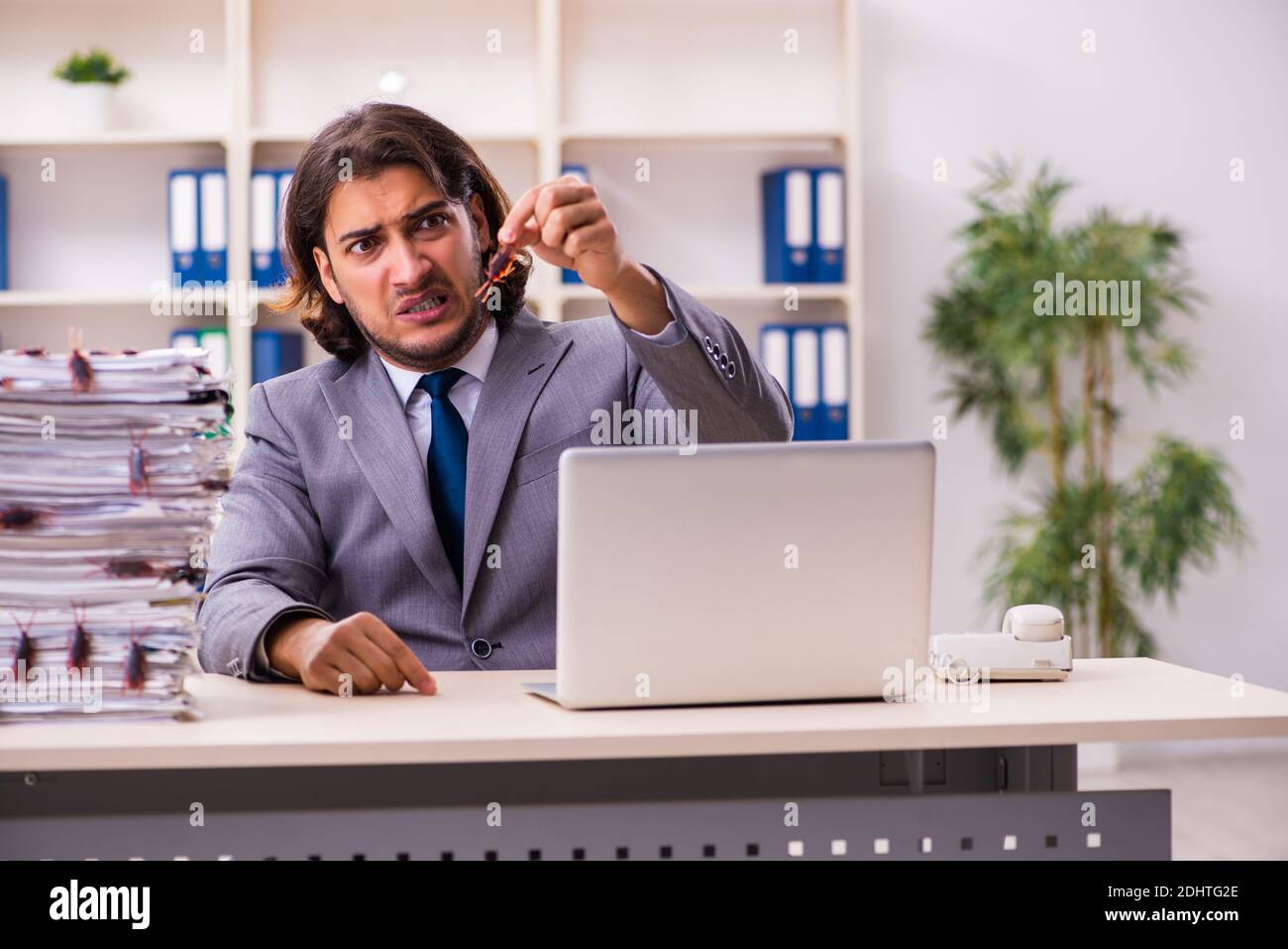 Young employee and too many cockroaches in the office Stock Photo - Alamy