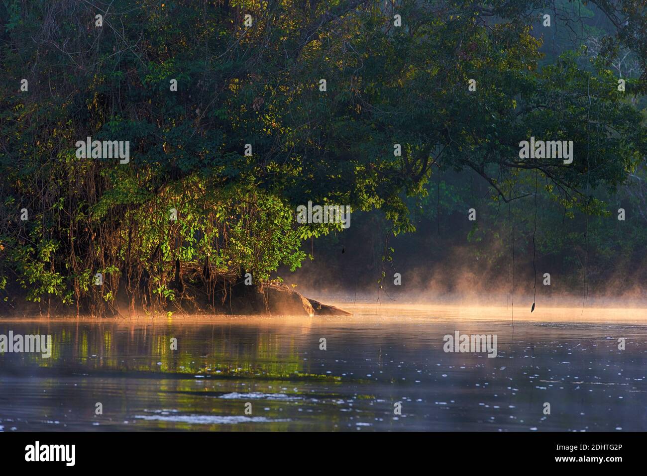 Rio Cristalino, the Amazon, Brazil Stock Photo - Alamy