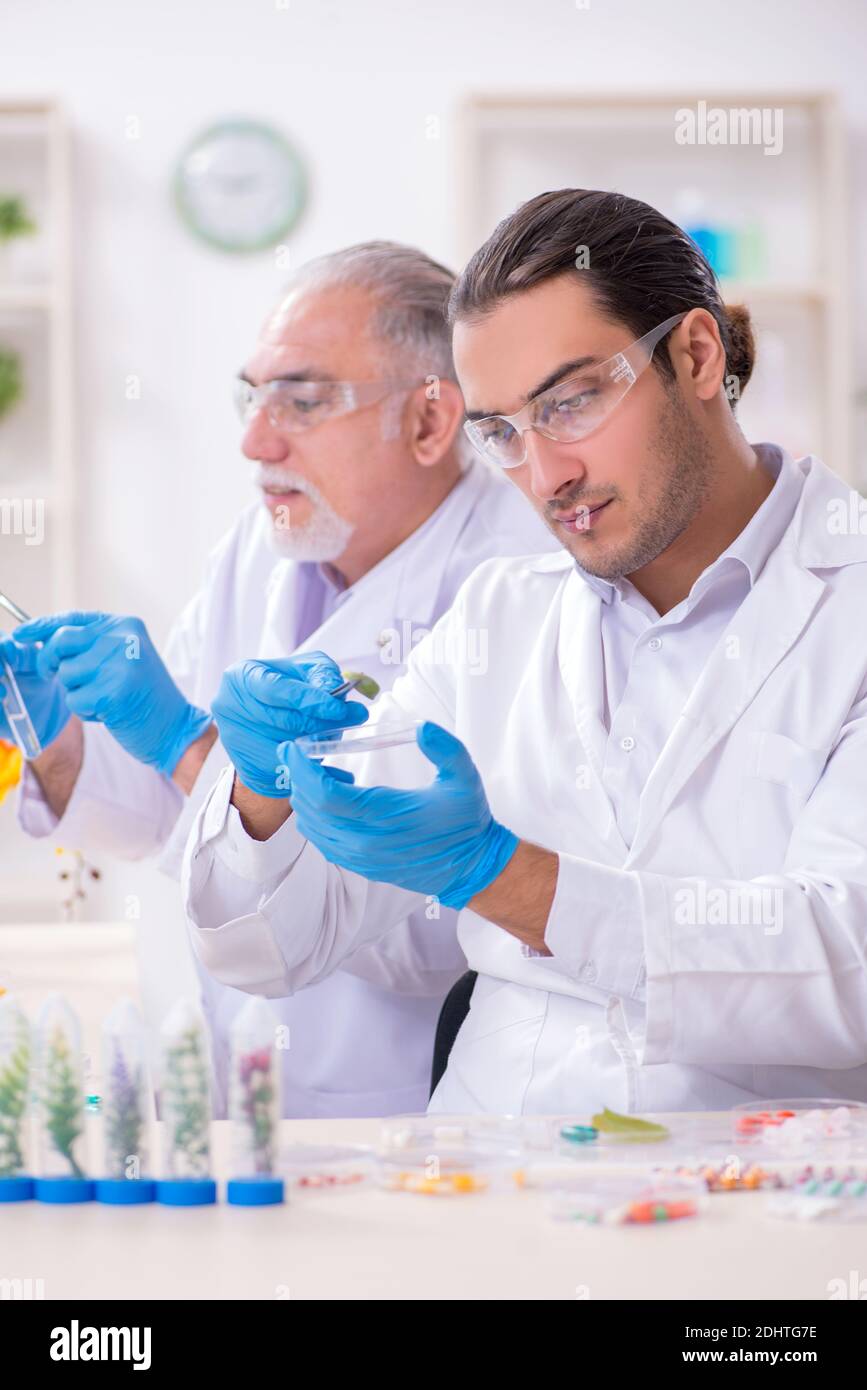 Two chemists working in the laboratory Stock Photo - Alamy
