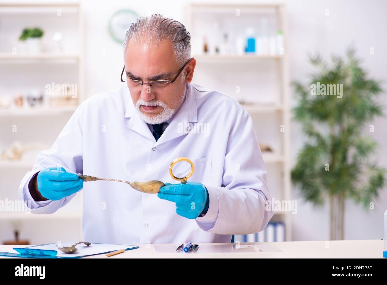 Old male archaeologist working in the lab Stock Photo - Alamy