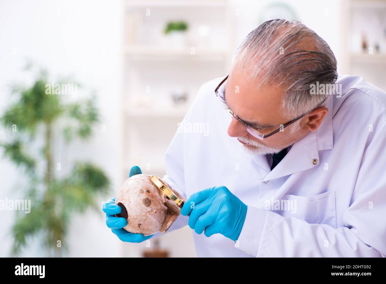 Old male paleontologist working hi-res stock photography and images - Alamy