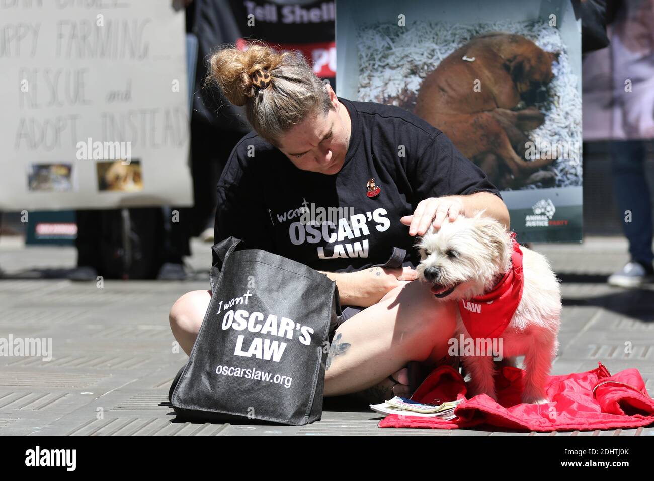 Sydney, Australia. 12th December 2020. Rally against puppy farming in ...