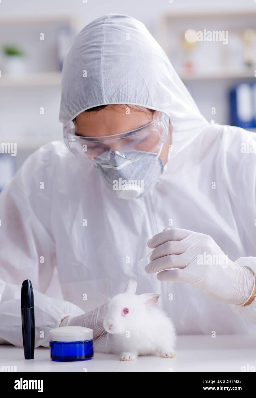The scientist doing animal experiment in lab with rabbit Stock Photo ...