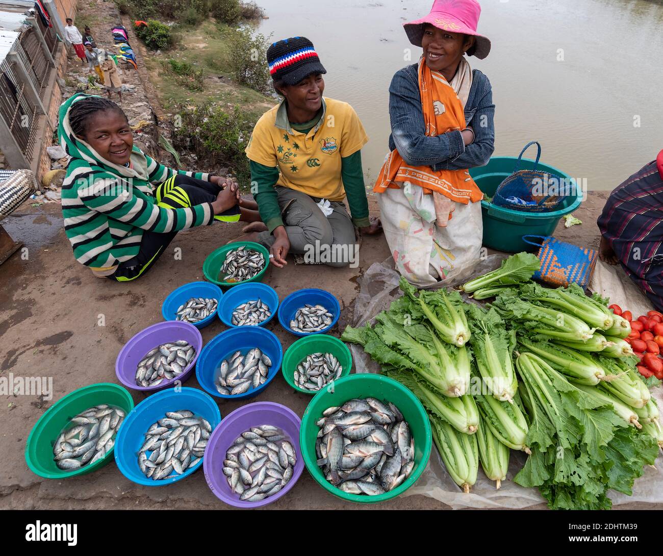 Selling fish and vegetables at Rue Andriamanelo, Madagascar Stock Photo ...