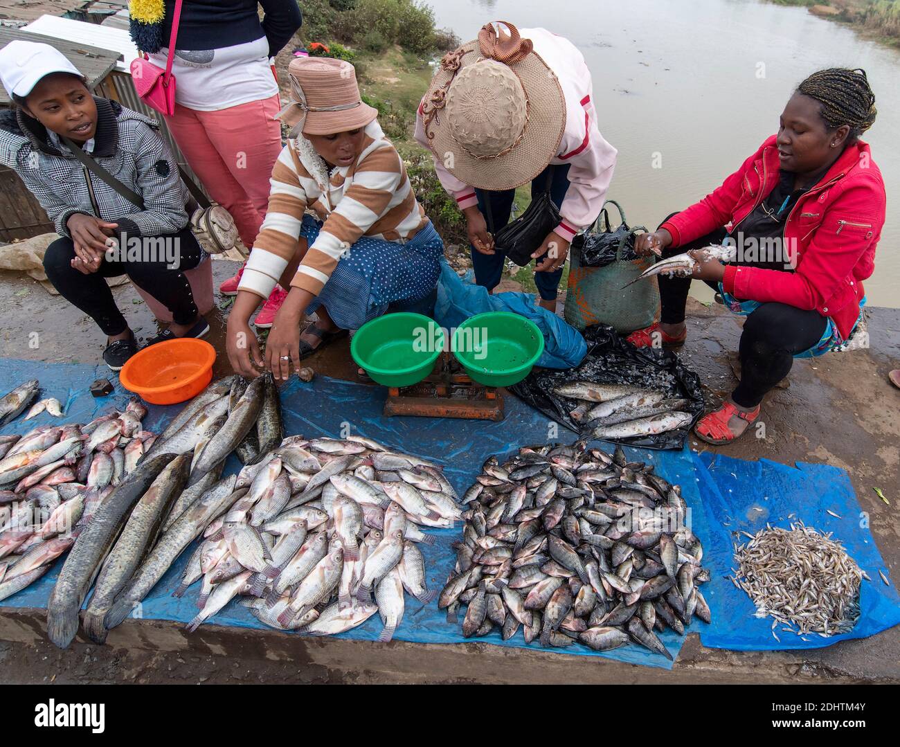 Selling fish at Rue Andriamanelo, Madagascar Stock Photo - Alamy