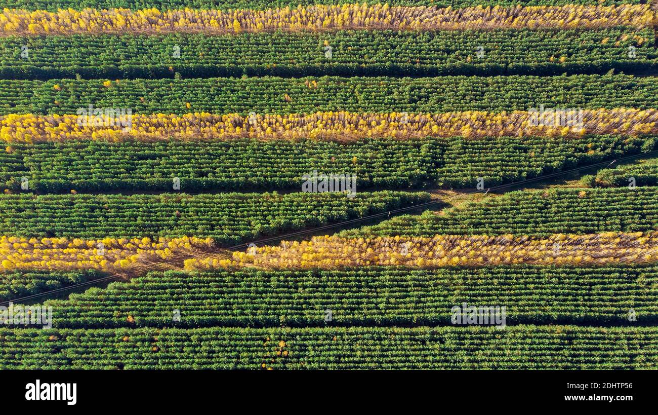 Striped landscape hi-res stock photography and images - Alamy