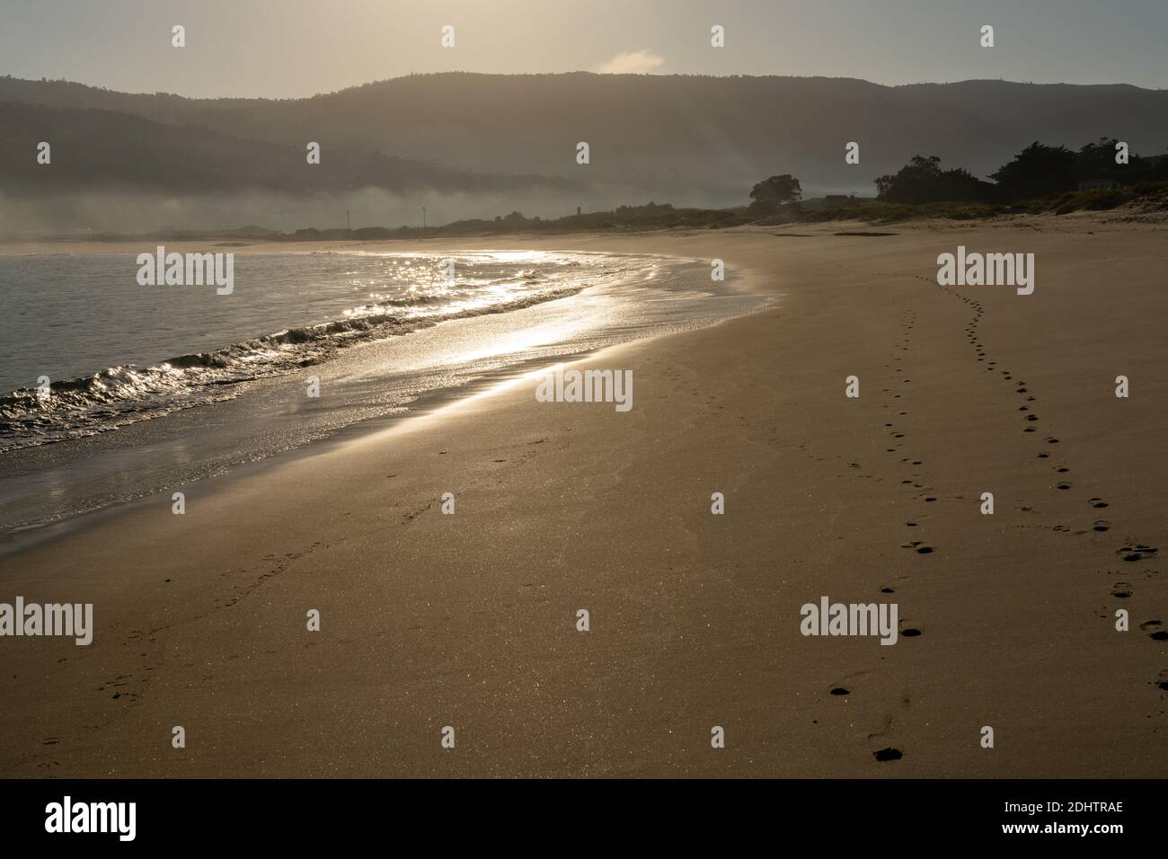 A beautiful golden sandy beach with glistening waves and tracks in the ...