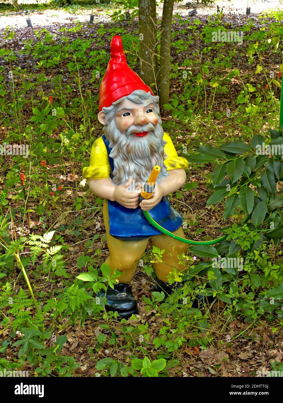French garden gnome hi-res stock photography and images - Alamy
