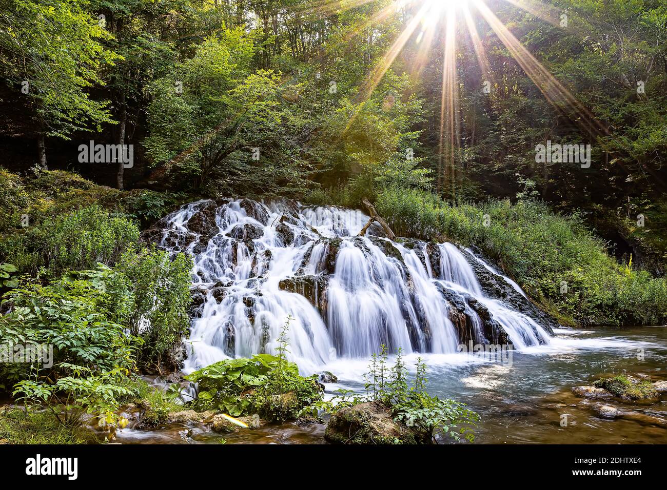 Strandja national park hi-res stock photography and images - Alamy