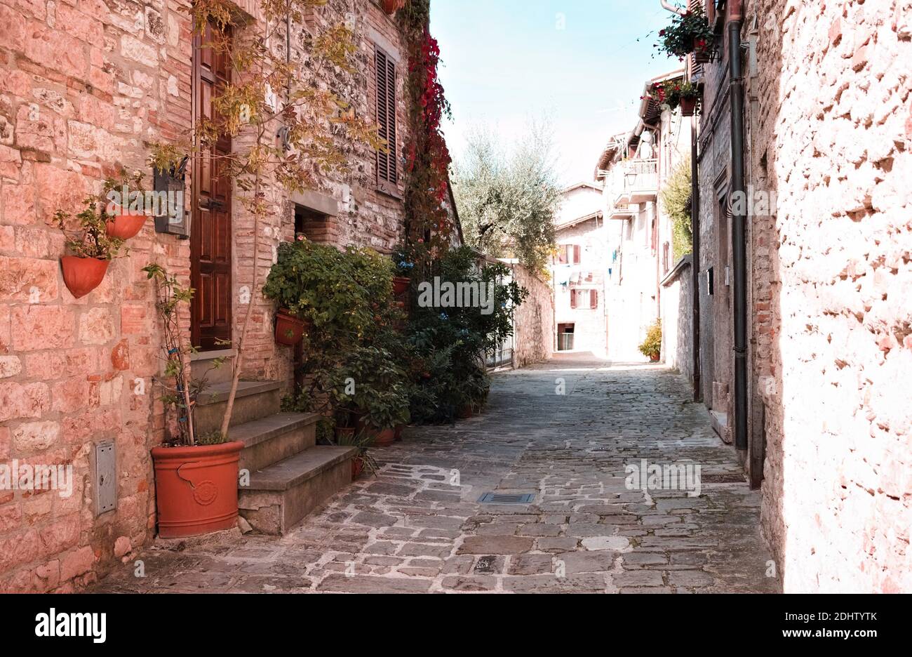 Pot Plant Courtyard High Resolution Stock Photography and Images - Alamy