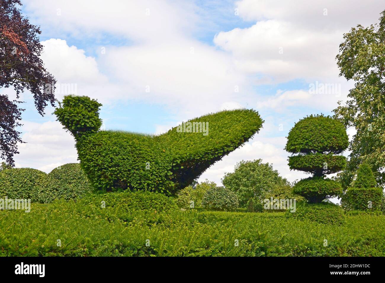 Topiary bird in a garden Stock Photo - Alamy