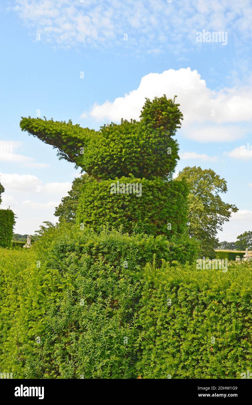 Topiary bird in a garden Stock Photo - Alamy