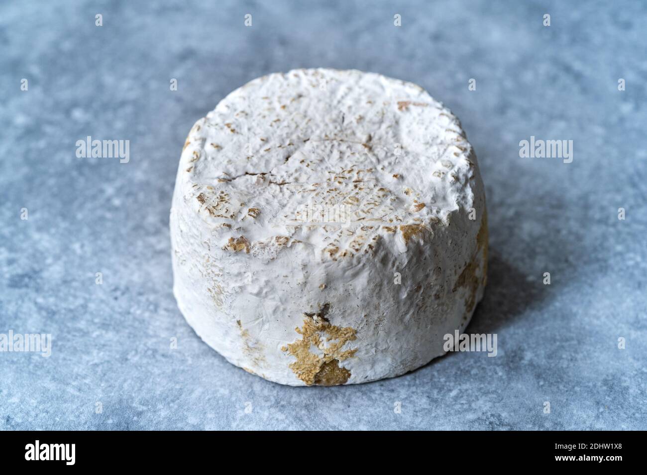 Whole Delicate Moldy Cheese. Gourmet Food Ready to Eat and Serve ...