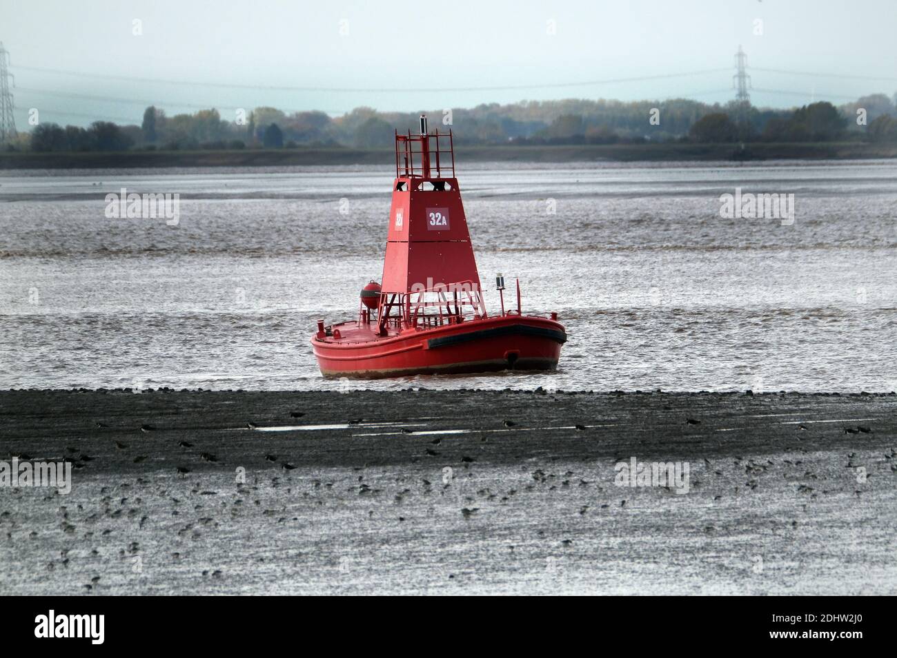 Humber estuary birds hi-res stock photography and images - Alamy