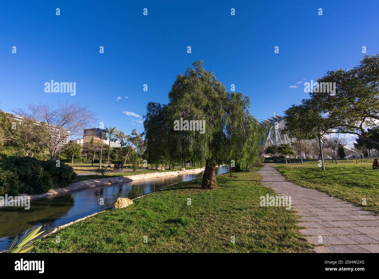 landscape of Turia River gardens Jardin del Turia, leisure and sport ...