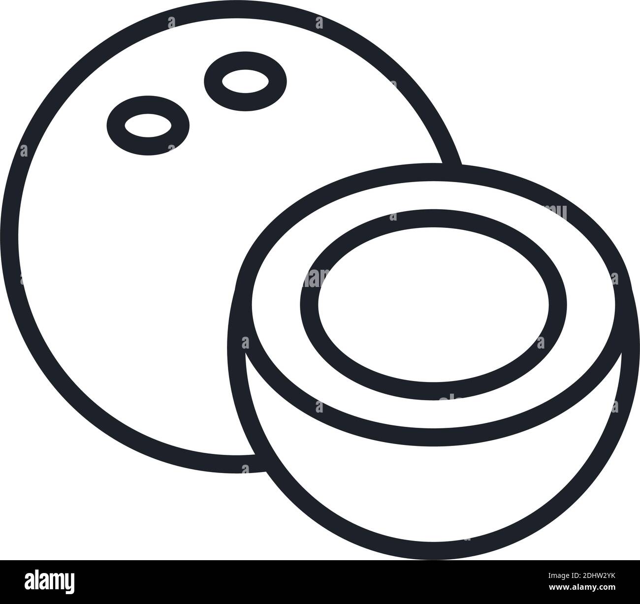 Coconut Icon Vector Linear Icon Contour Shape Outline Isolated On A White Background Thin