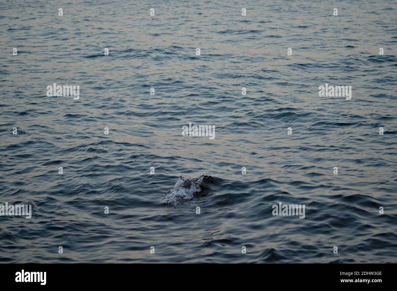 Sea water, small wave, calm clear water, ocean water Stock Photo - Alamy
