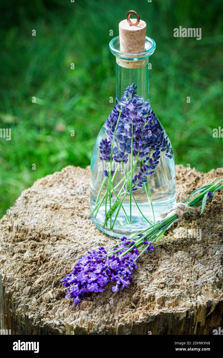 Homemade healthy tincture of lavender in summer garden Stock Photo - Alamy