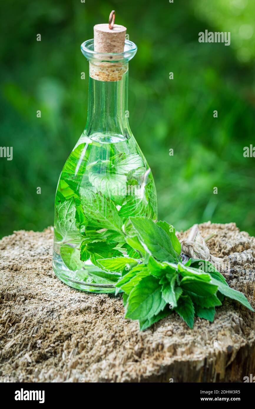 Healthy and homemade mint liqueur with alcohol in summer garden Stock ...