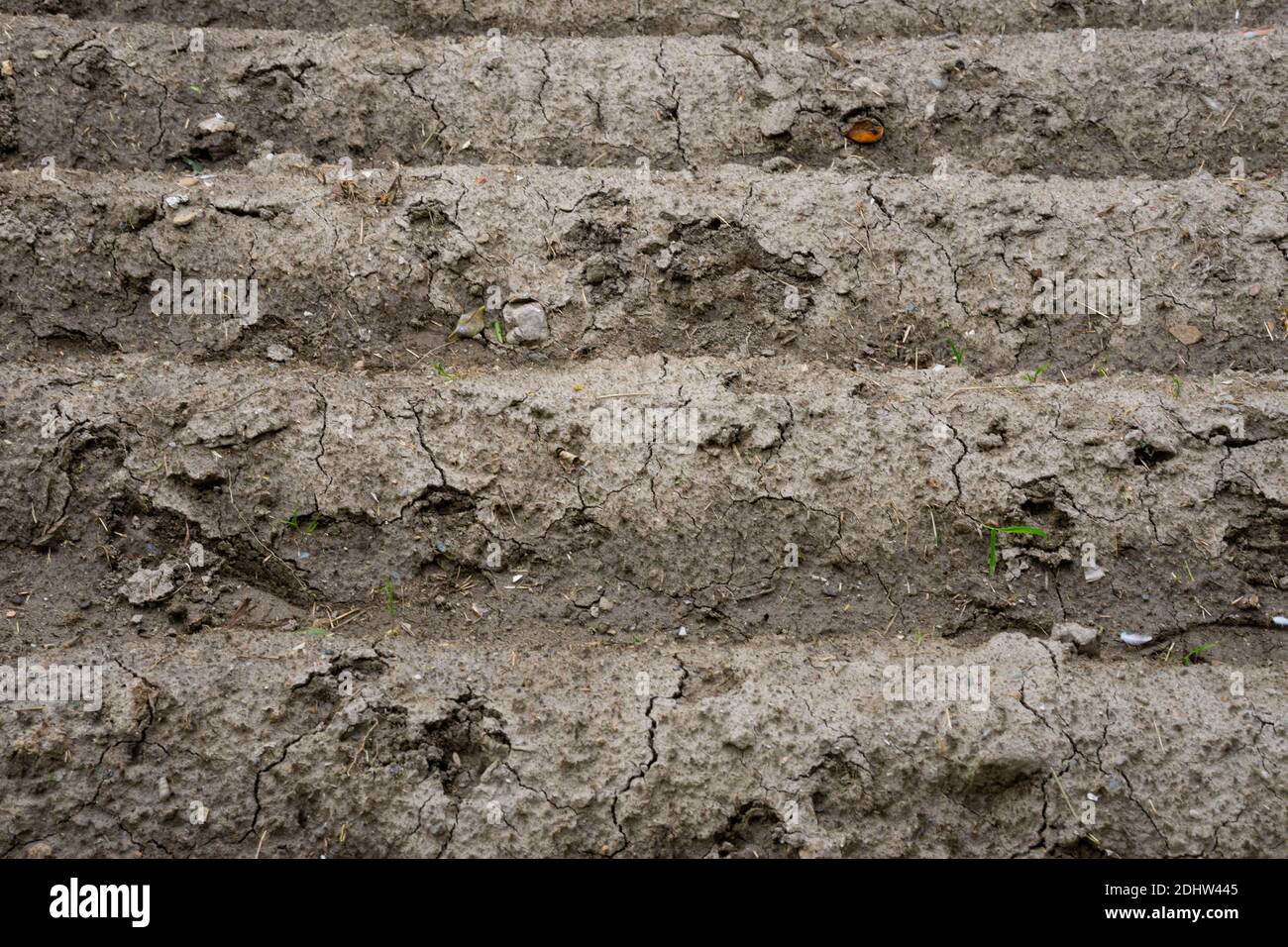 Planting ridges hi-res stock photography and images - Alamy