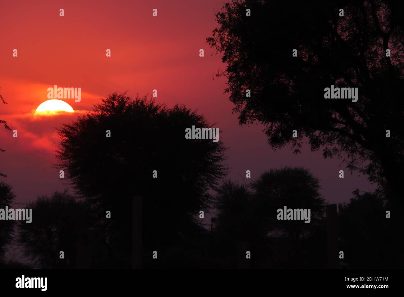 A silhouette photo with half sun hidden behind clouds and wild trees ...