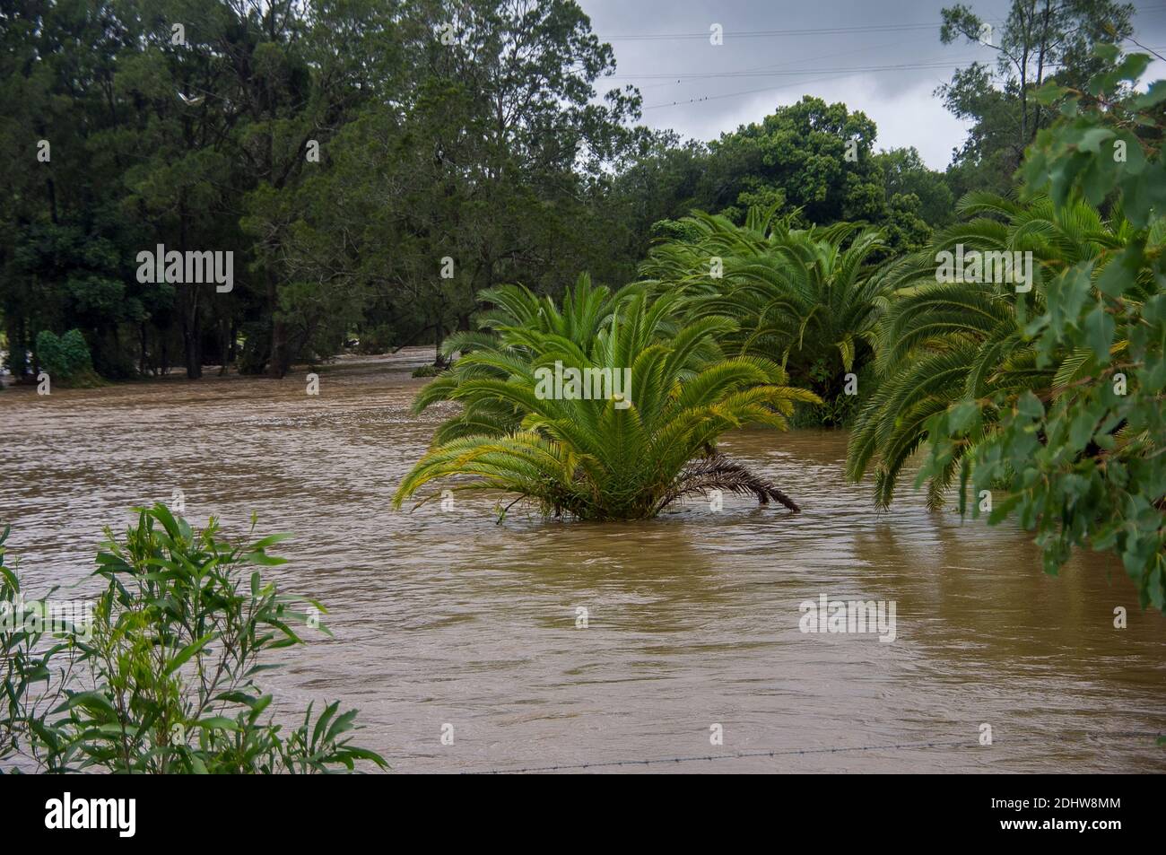 Flooded farm land where the Coomera River has overflowed. Fast-flowing ...