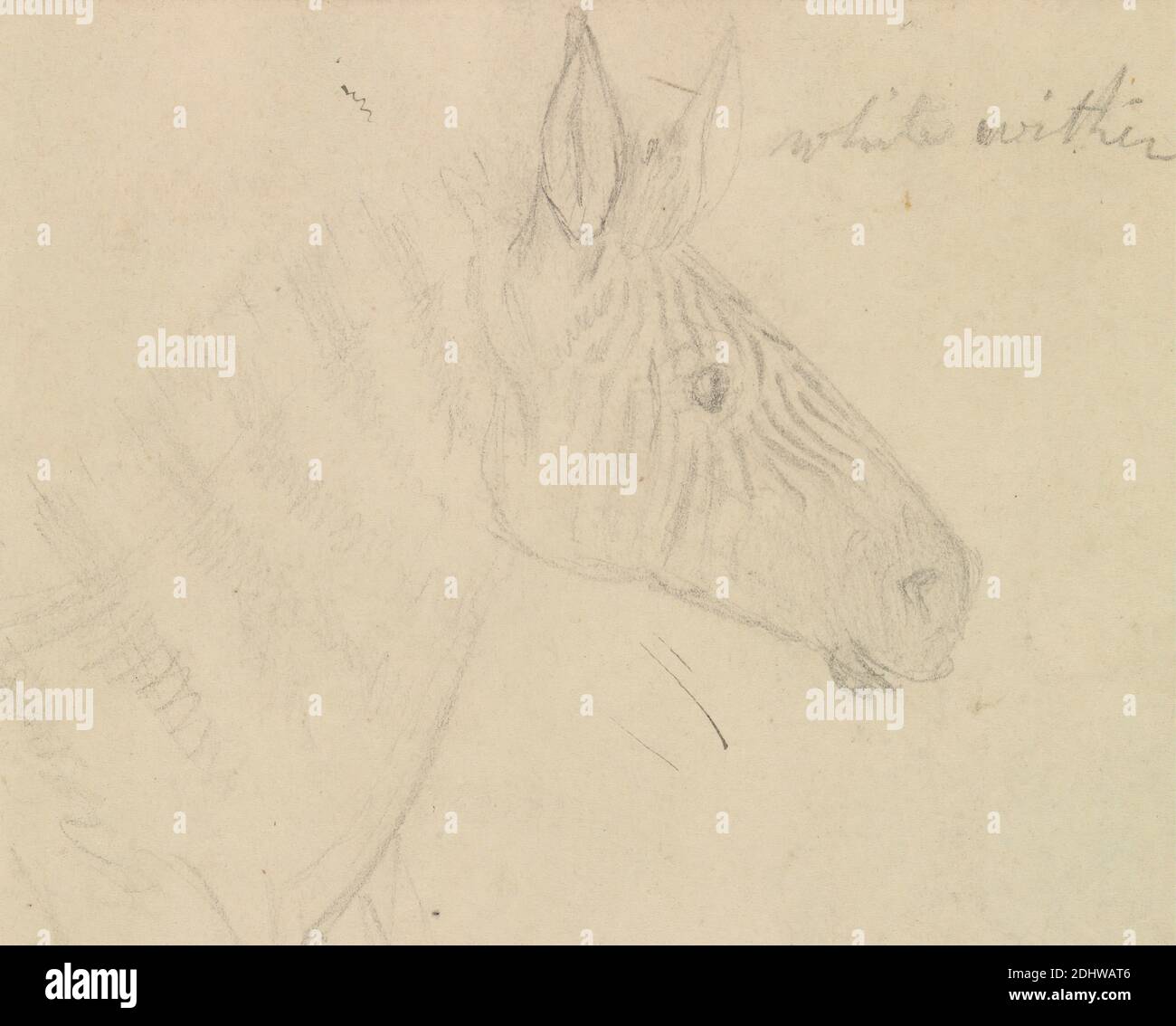 James de carle sowerby hi-res stock photography and images - Alamy