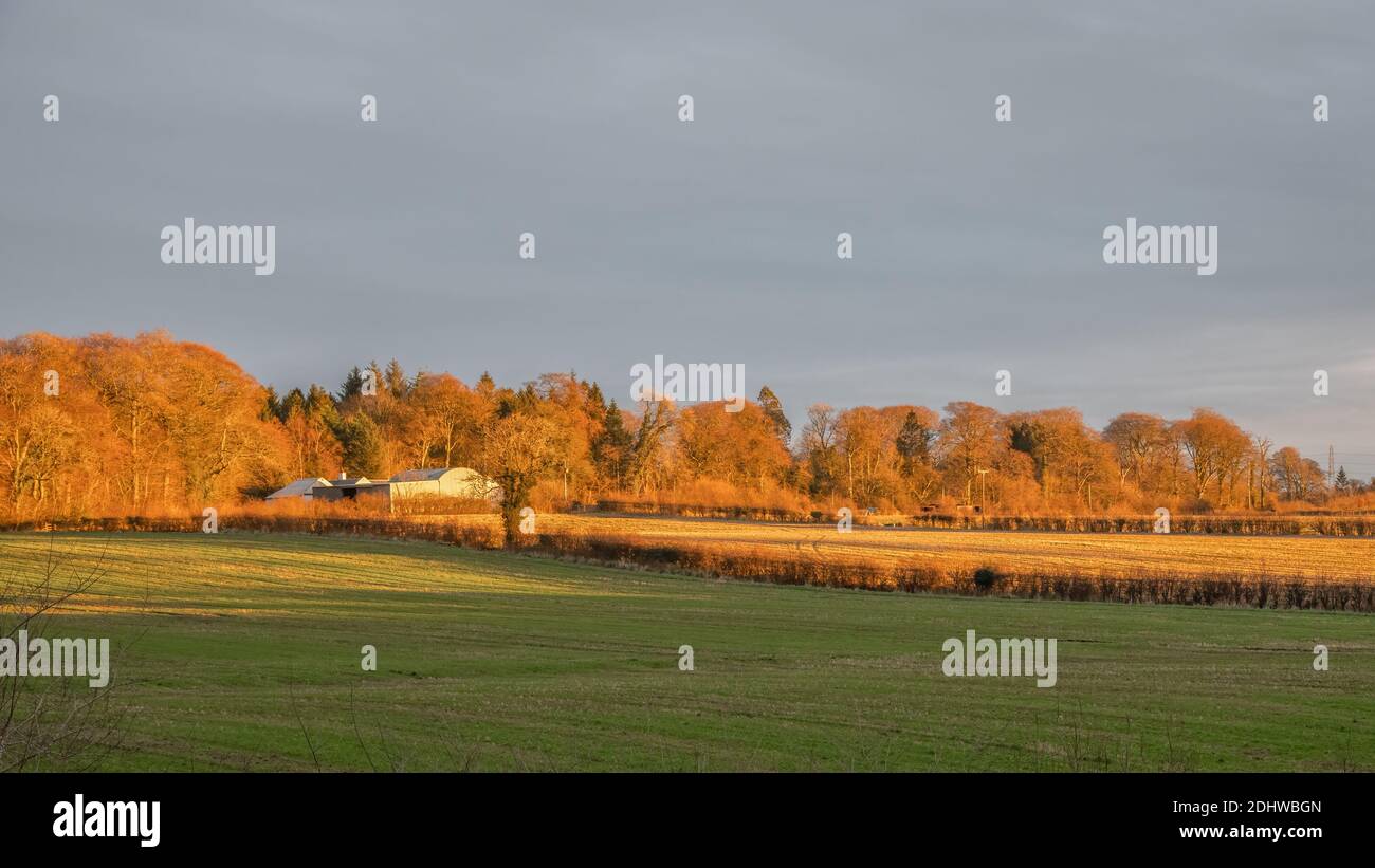 The magic of Perceton in Irvine and an early morning sunrise as the ...