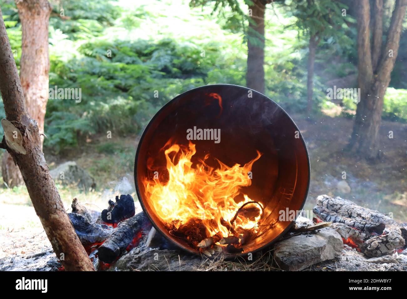 fire at forest Stock Photo - Alamy