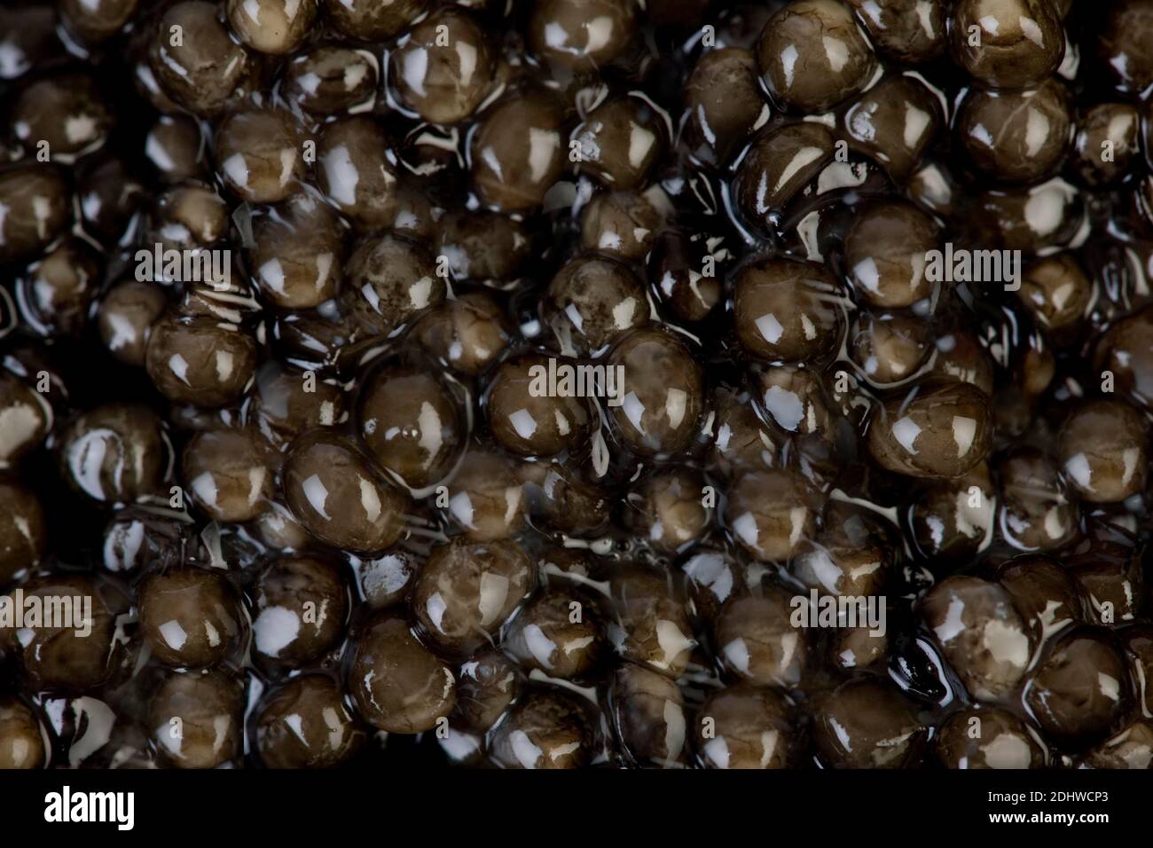 Caviar, Sturgeon, acipenser sp., Eggs Stock Photo - Alamy