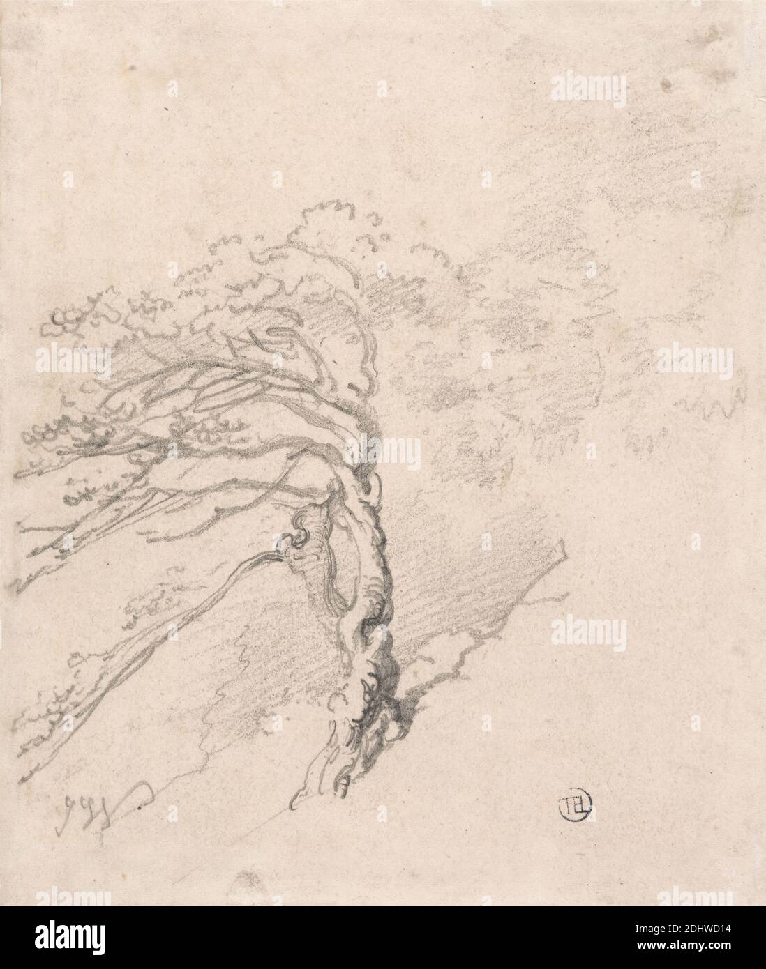 Tree on a Hillside, James Ward, 1769–1859, British, undated, Graphite ...