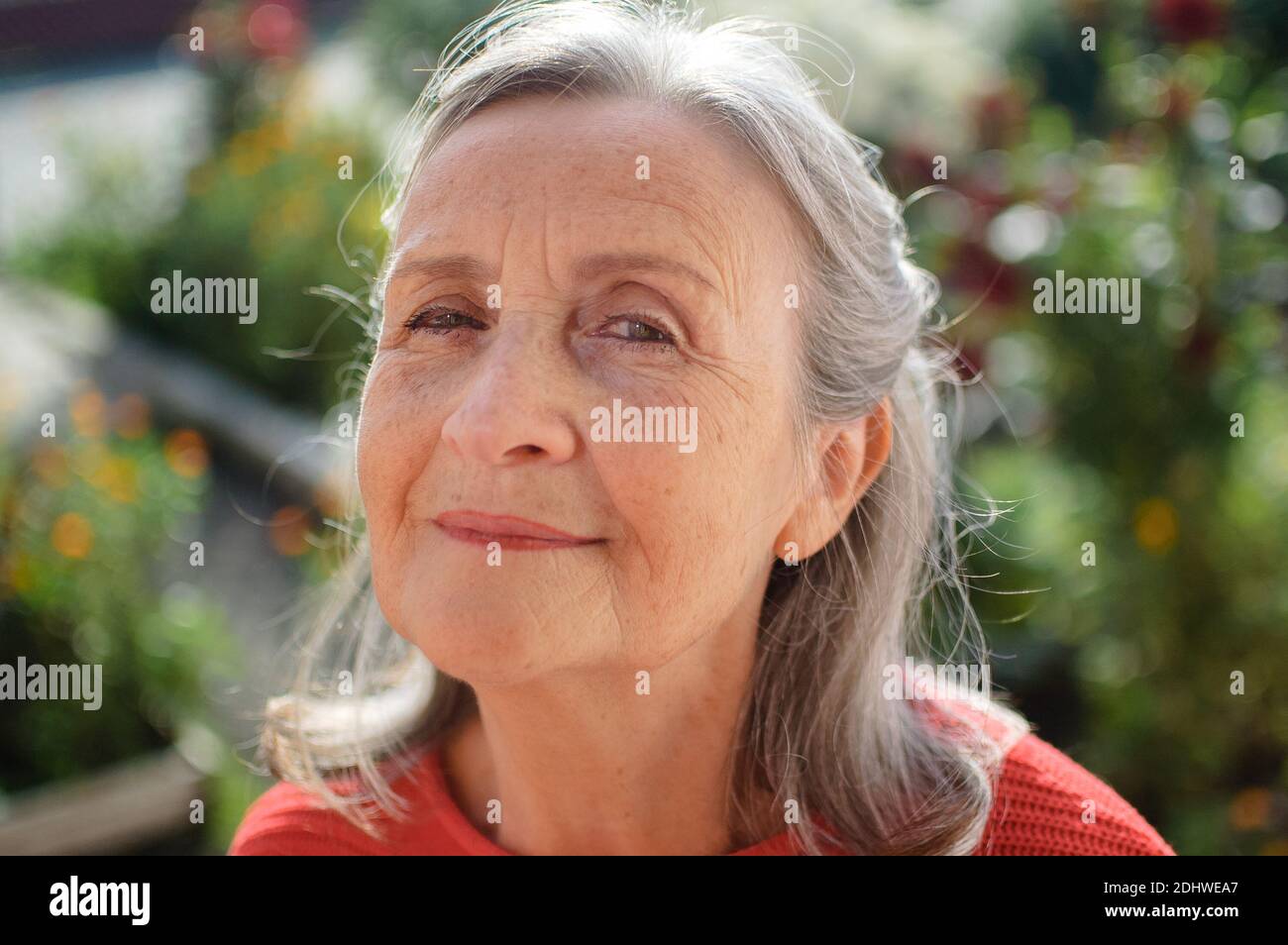 Beautiful old grandmother with grey hair and face with wrinkles ...