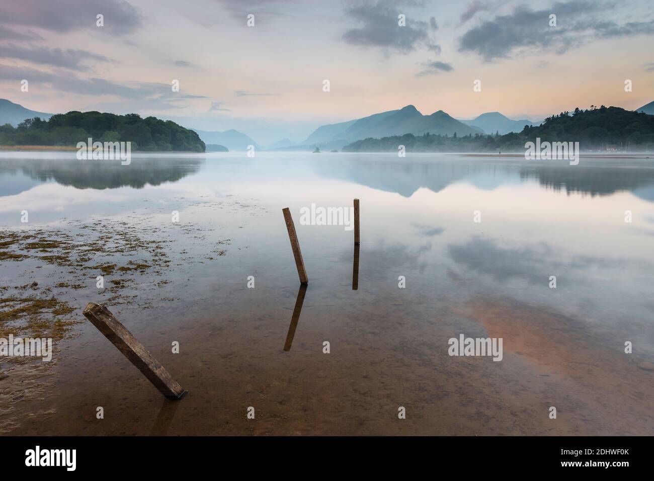 Three wooden posts in Derwent Water, Cumbria Stock Photo - Alamy