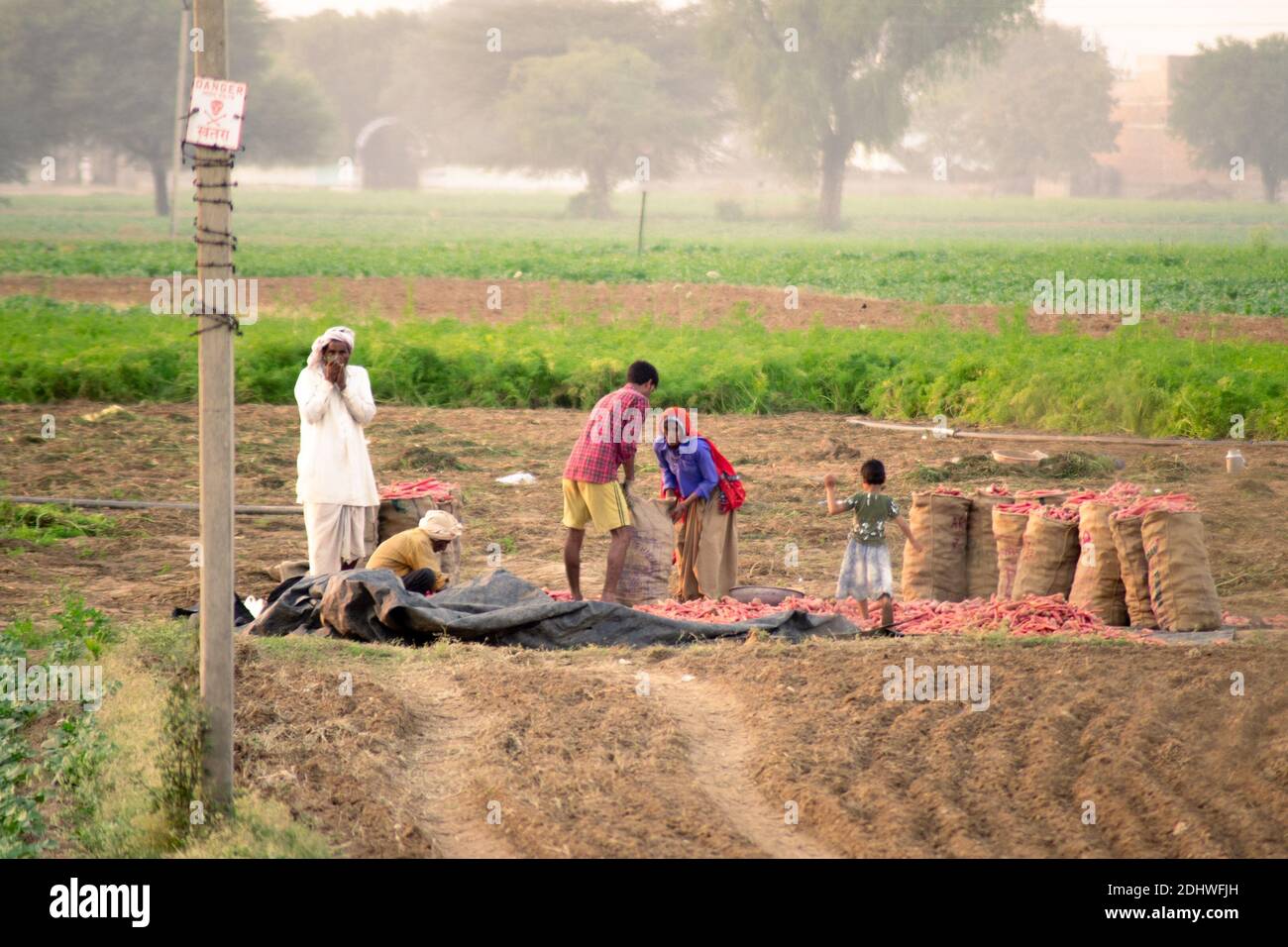 Farmers mandi india hi-res stock photography and images - Alamy
