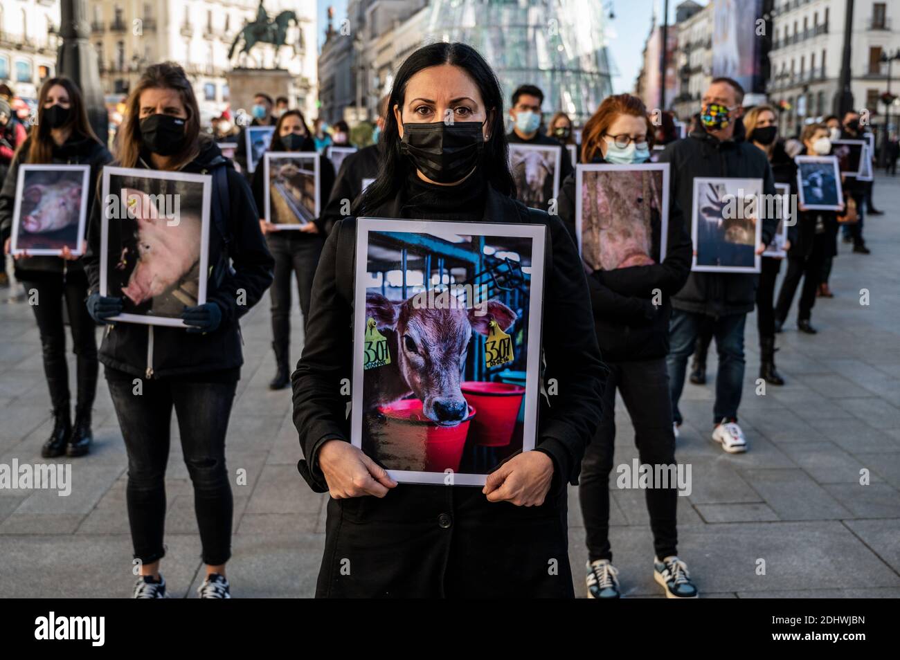 Madrid, Spain. 12th Dec, 2020. Animal rights activists carrying ...