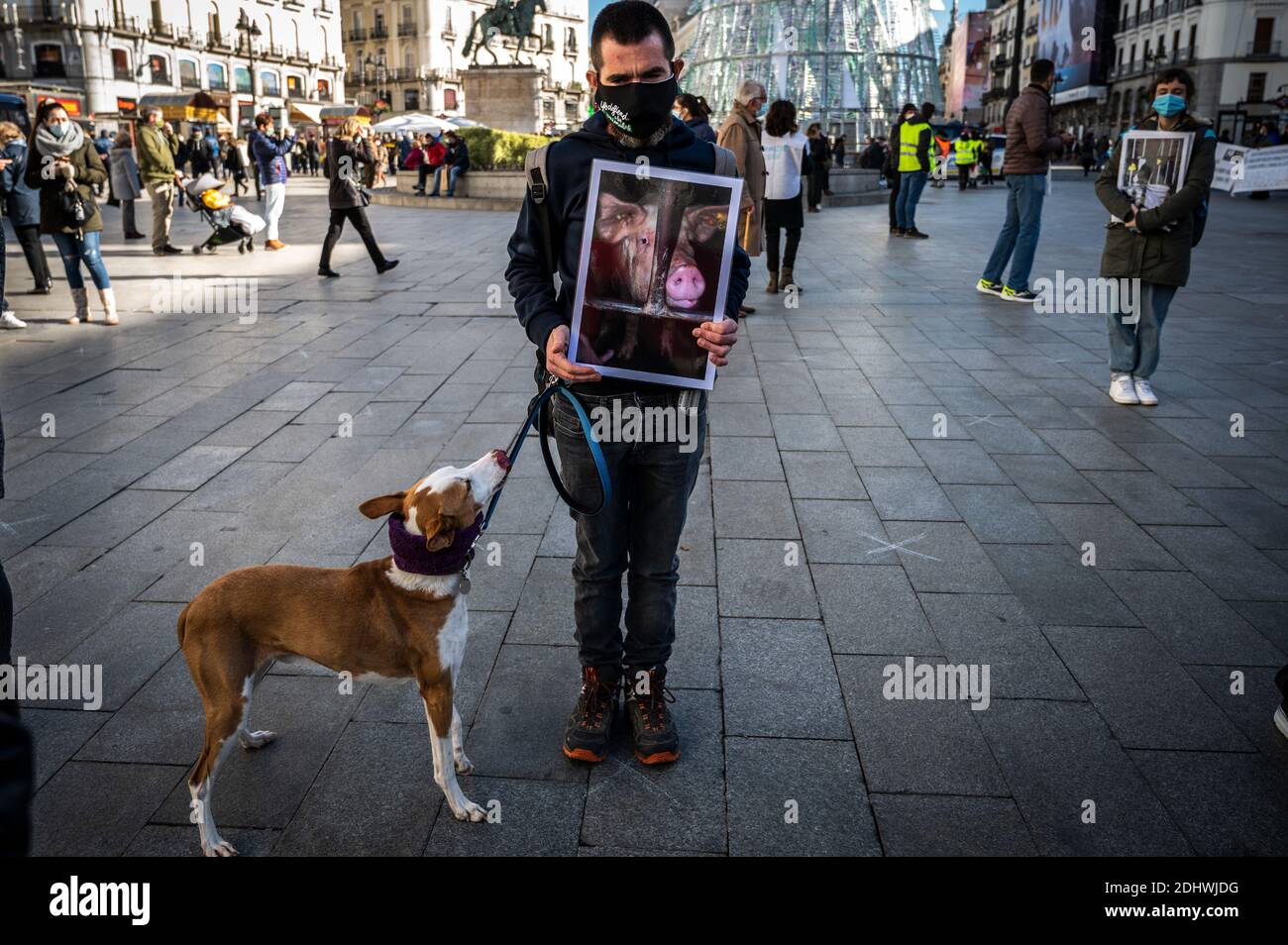 Madrid, Spain. 12th Dec, 2020. Animal right activist with his dog ...