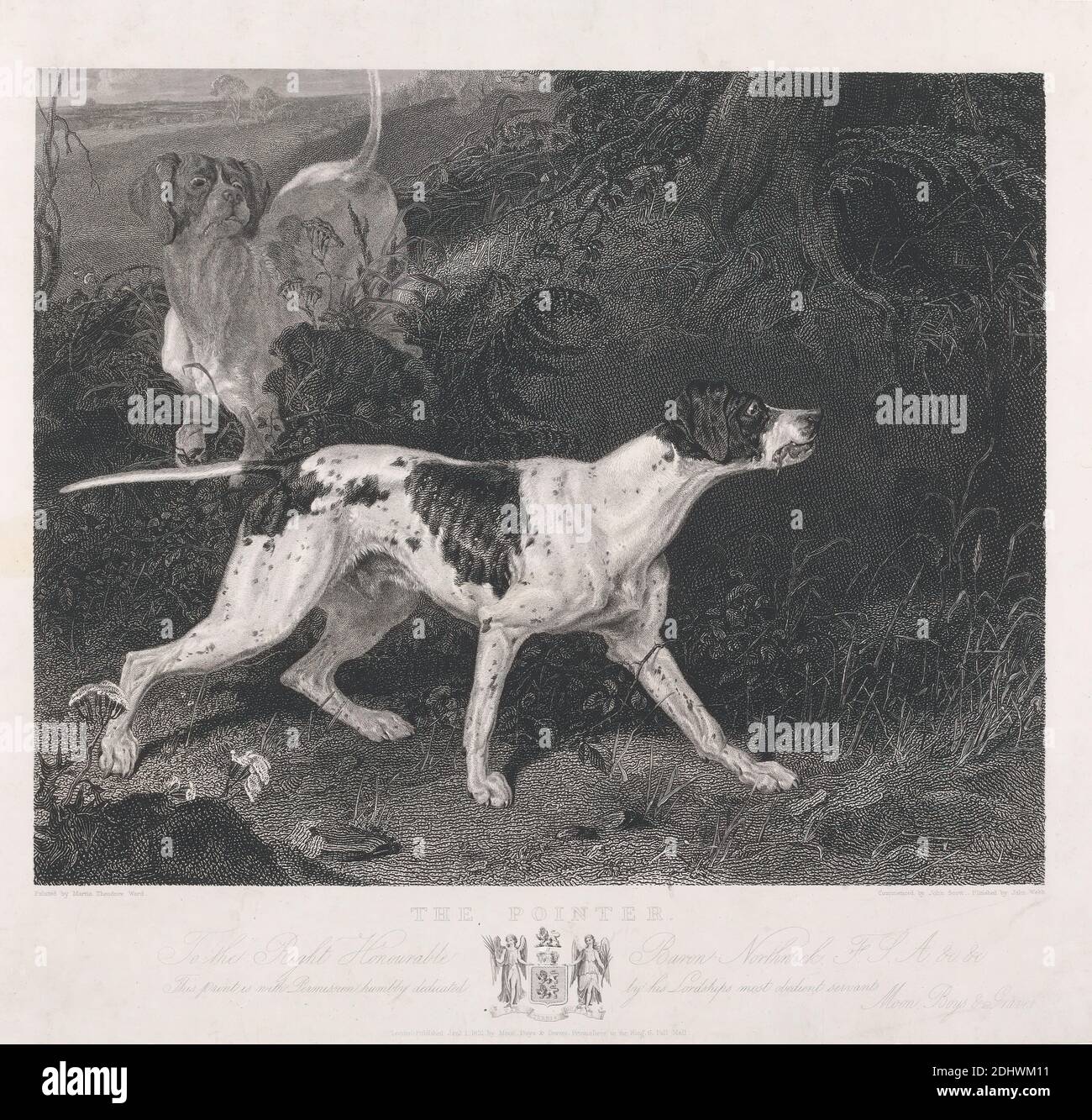 12 7 40 6cm hi-res stock photography and images - Alamy