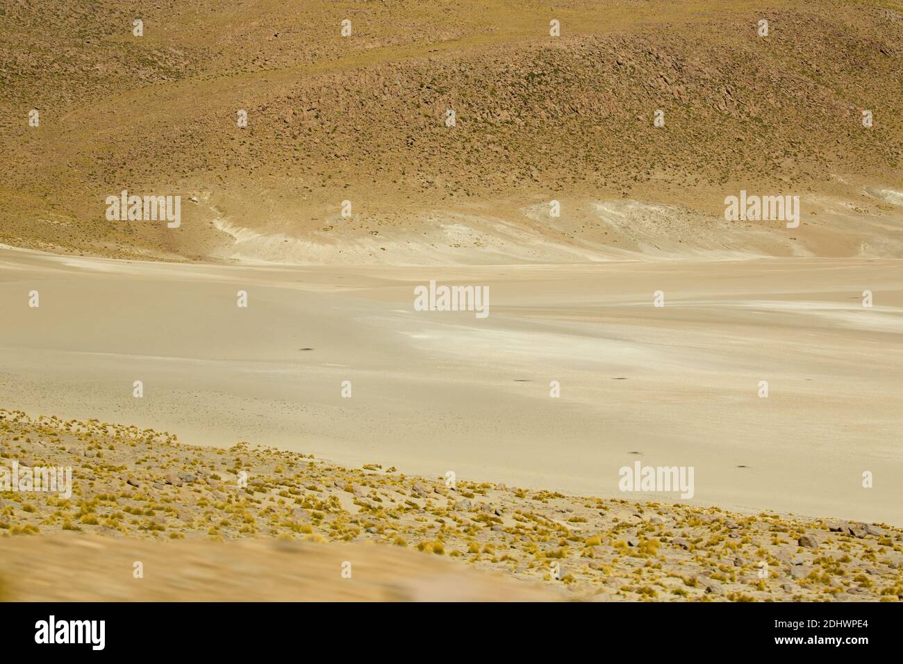 Grasslands and dry desert dotted with the grey piles of Vicuna ...