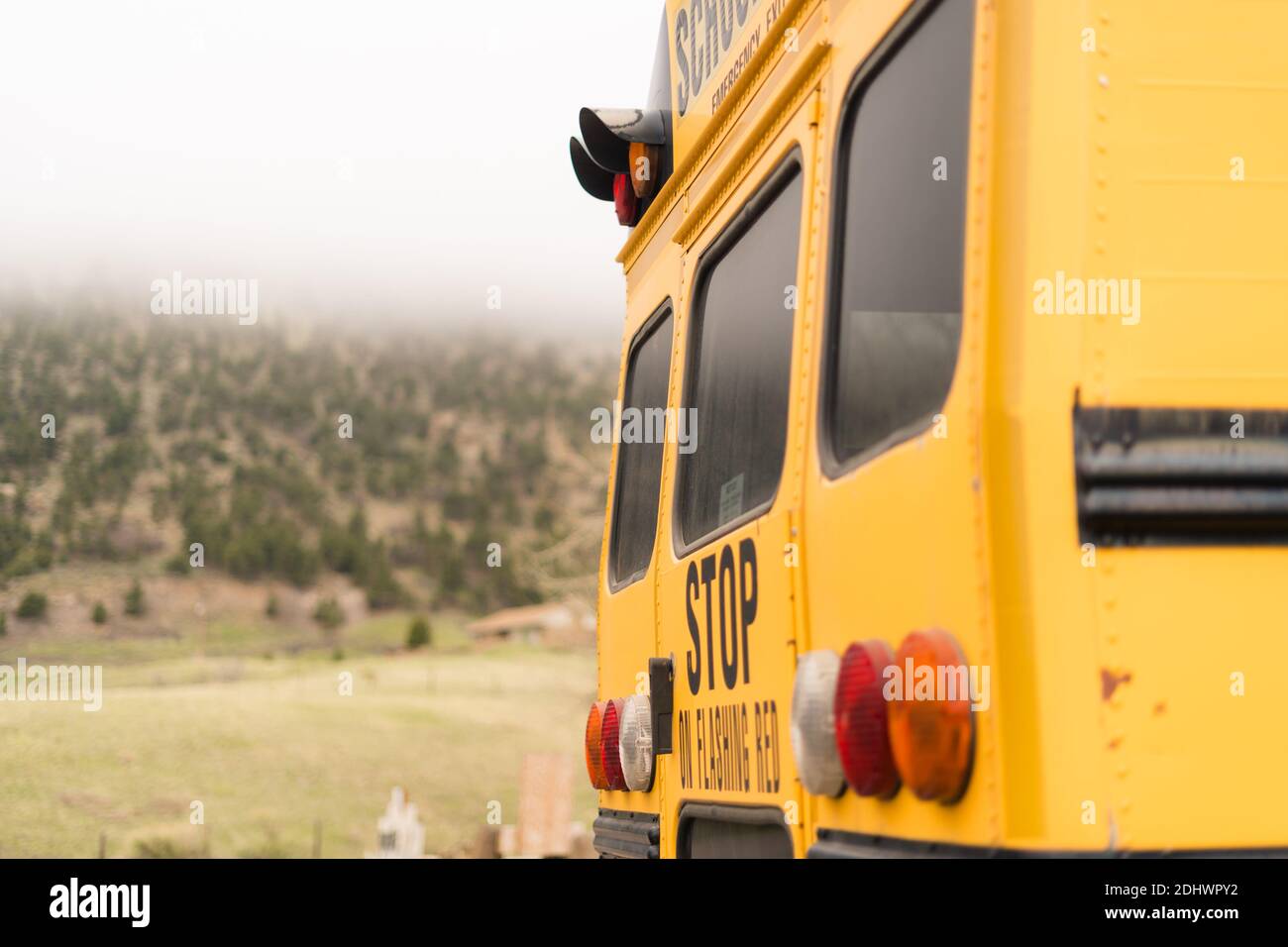 Close ups of yellow school bus on field trip Stock Photo - Alamy