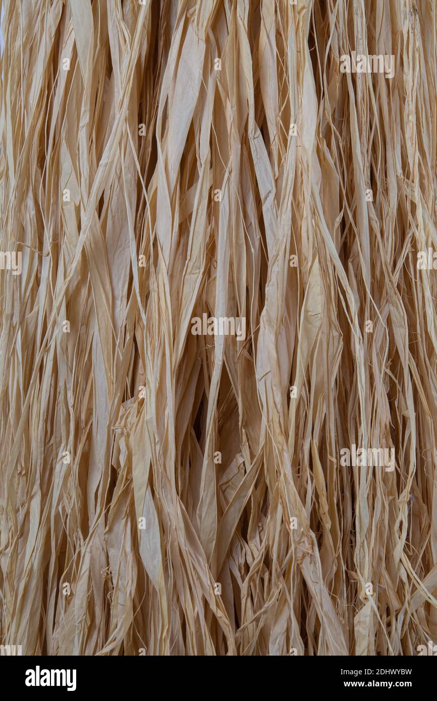 Loose hanging bast fiber for natural background Stock Photo - Alamy