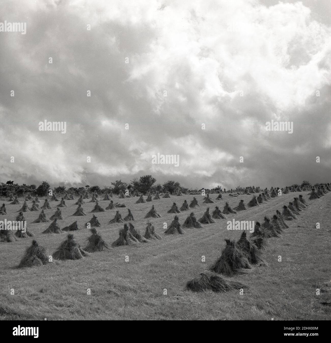 Small haystacks hi-res stock photography and images - Alamy
