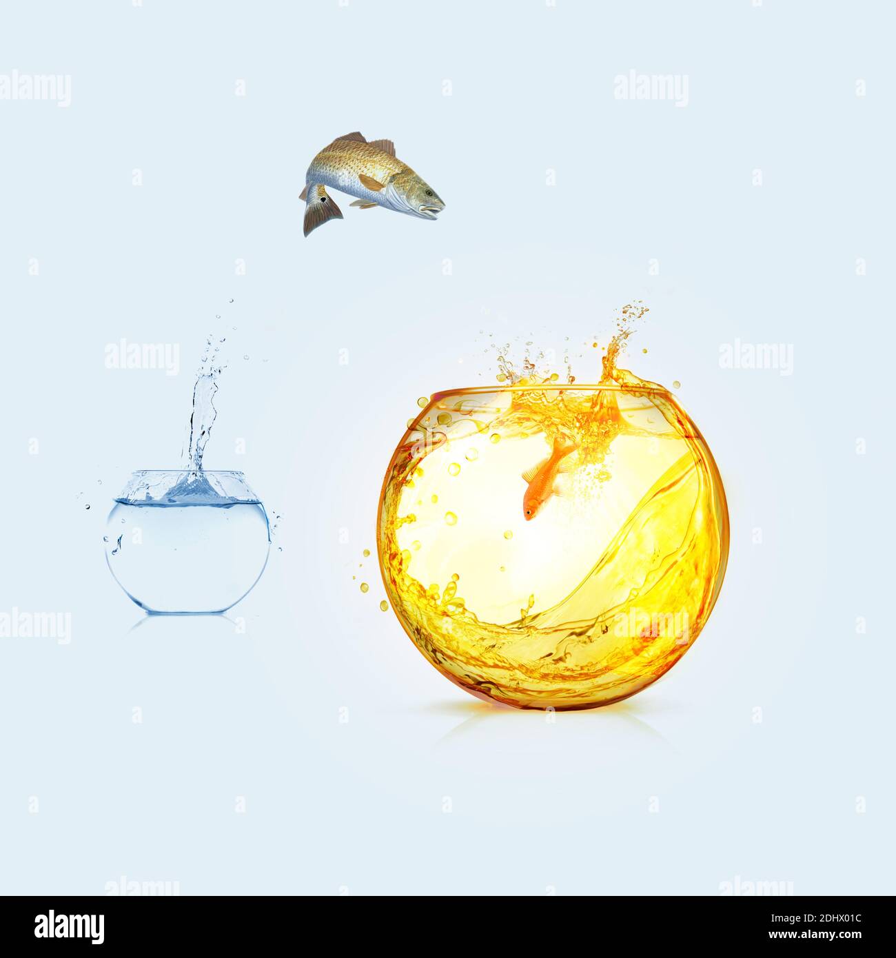 Fish jumping out one fishbowl to another bowl for liberty and new taste ...